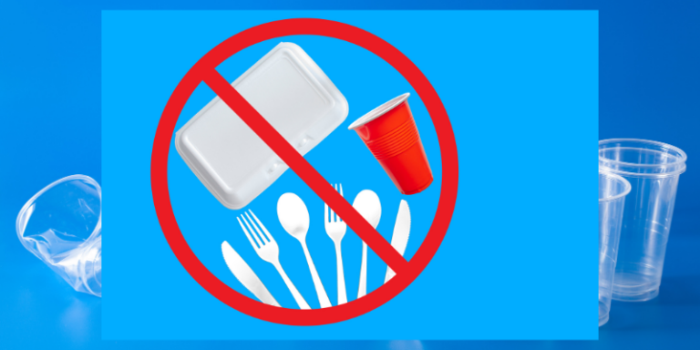 Single Use Plastic Ban In England B4